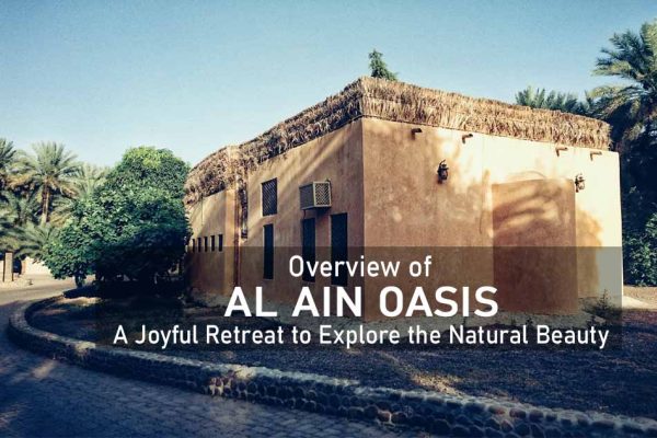 Al Ain Oasis: Full Guide, Things to Do & More